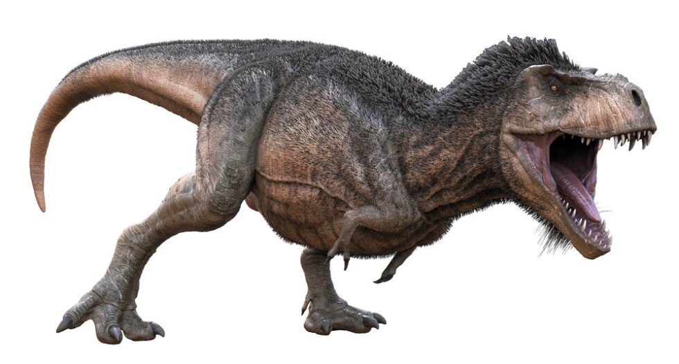 Conoce al Tiranosaurio rex: una mirada al depredador letal